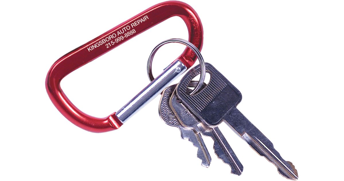 Carabineer Key Ring | Amsterdam Products